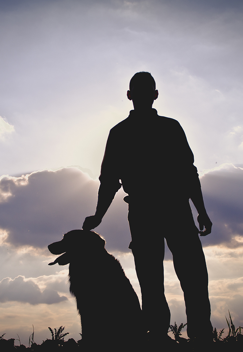 End-of-Life Care – Greystone Veterinary Hospital