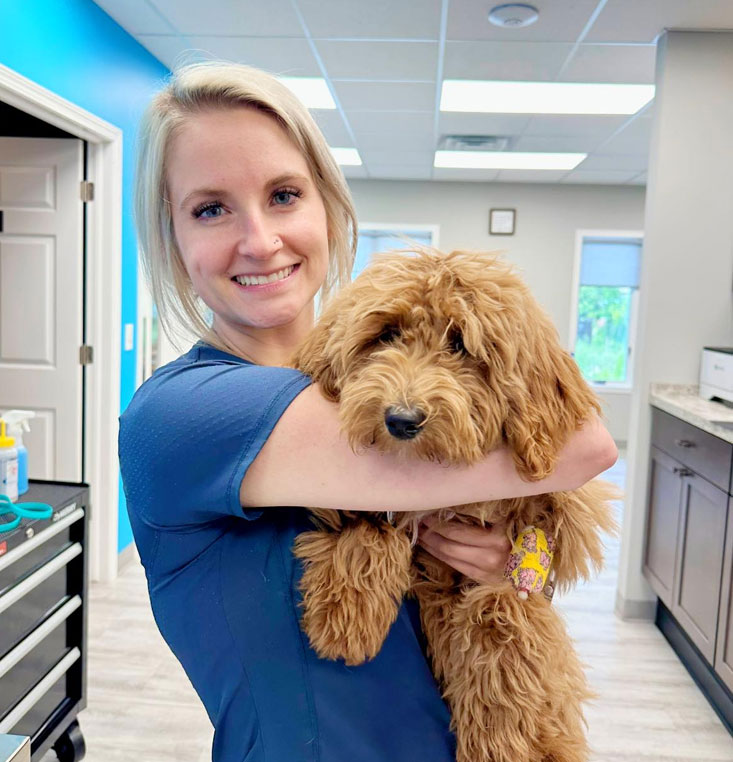 Greystone Veterinary Hospital